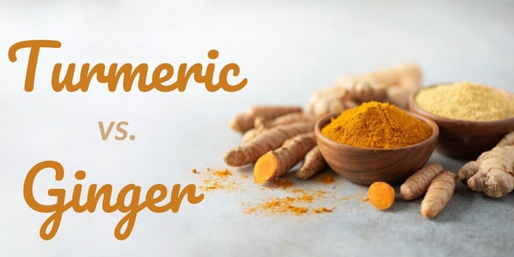 Turmeric vs Ginger Health Benefits: Is One Better Than The Other ...